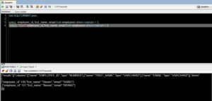 Improve your Productivity while using Oracle SQL Developer – Sran Manpreet